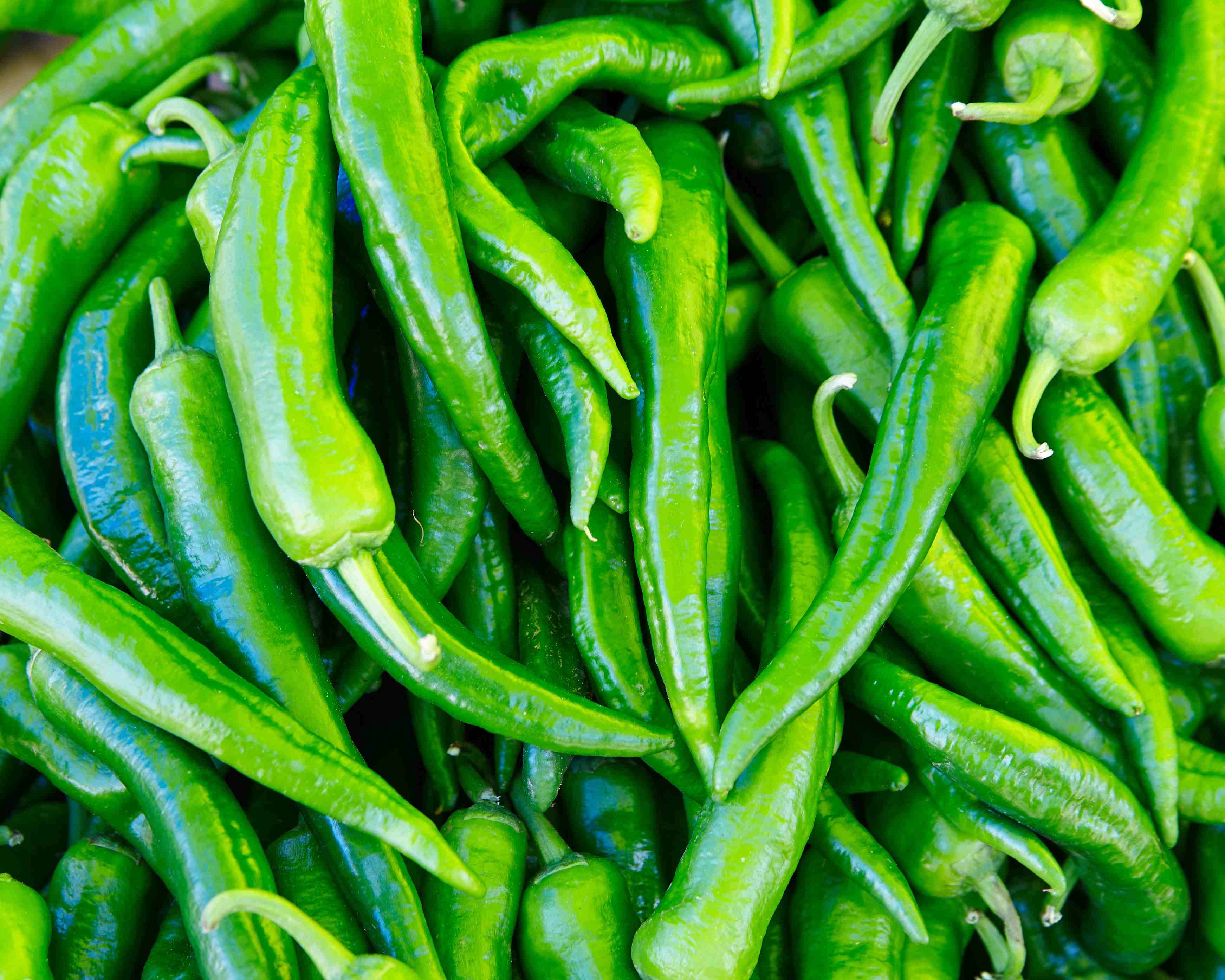 Chili - die wichtigsten Sorten im Überblick | Olav