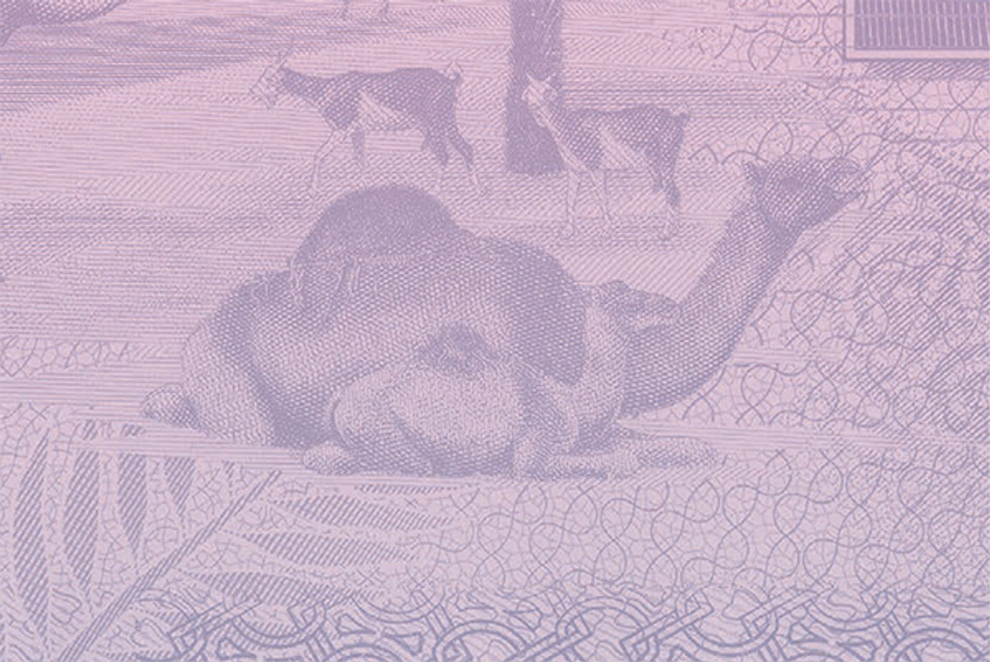 Specimen Issue 8 — CCL Secure