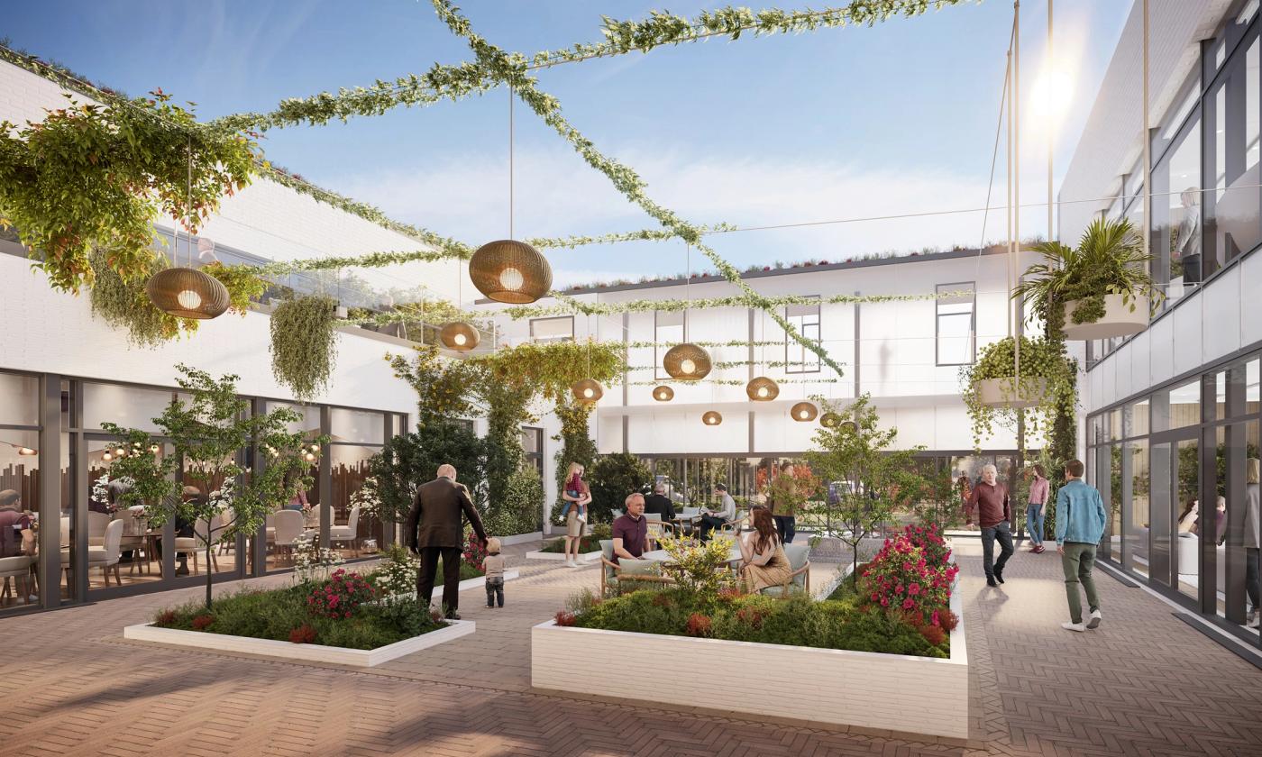 WGP | Project | Olive Grove