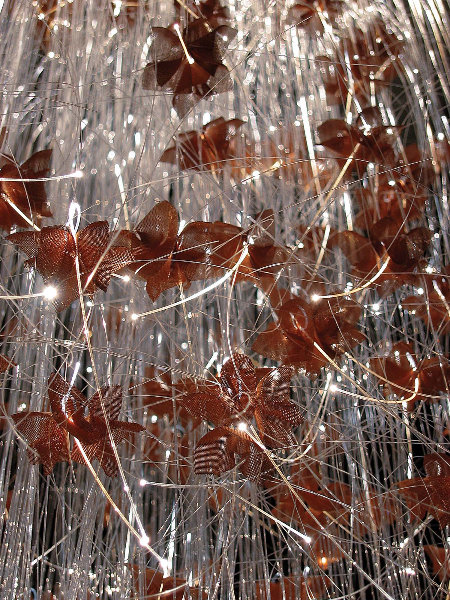 Sharon Marston – Bella Light