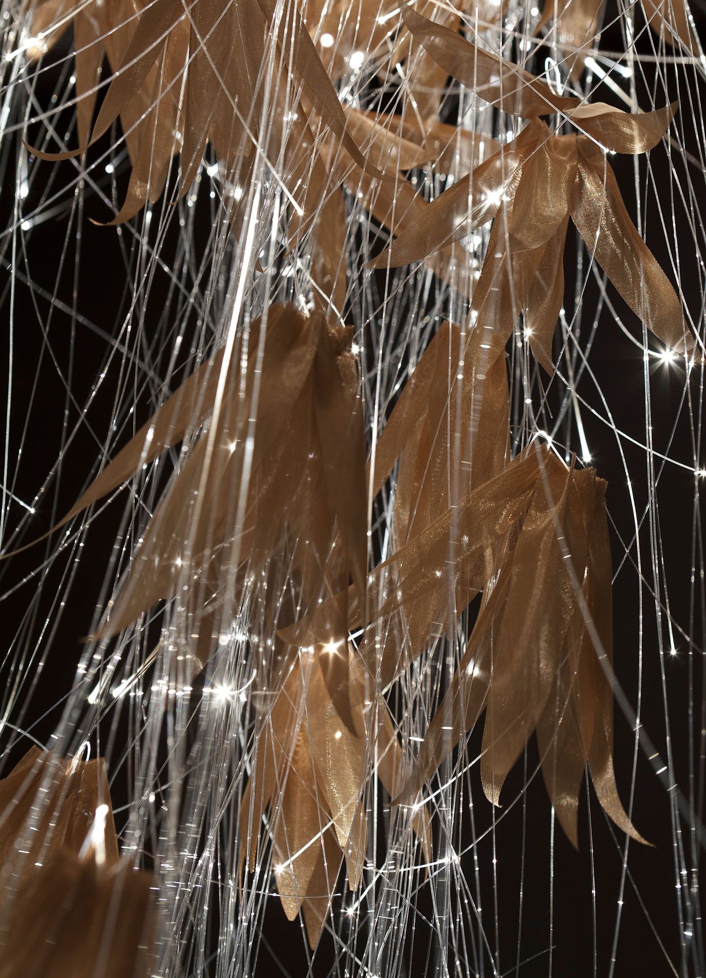 Sharon Marston - Willow Light