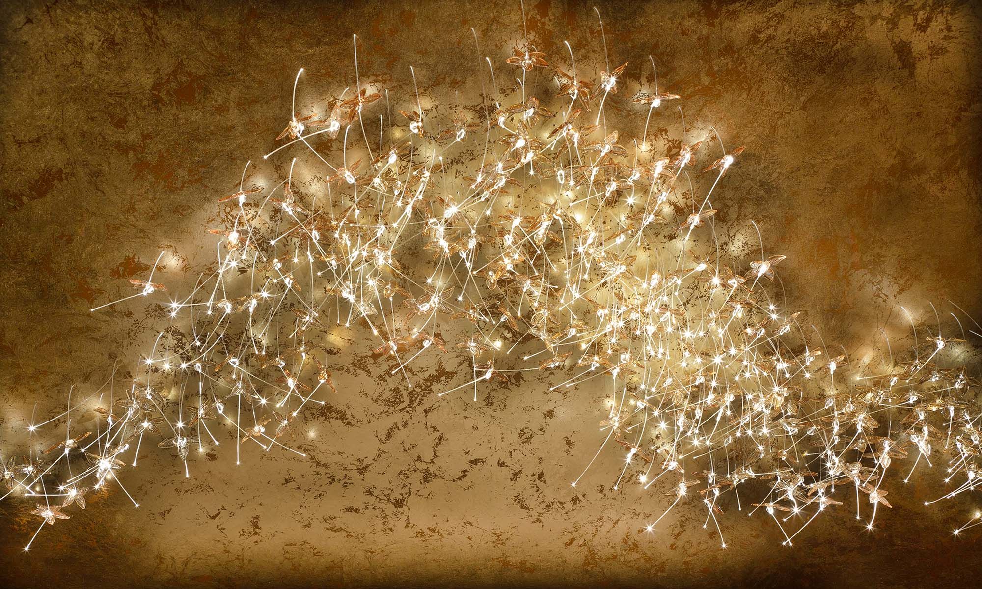 Sharon Marston - Starling Light