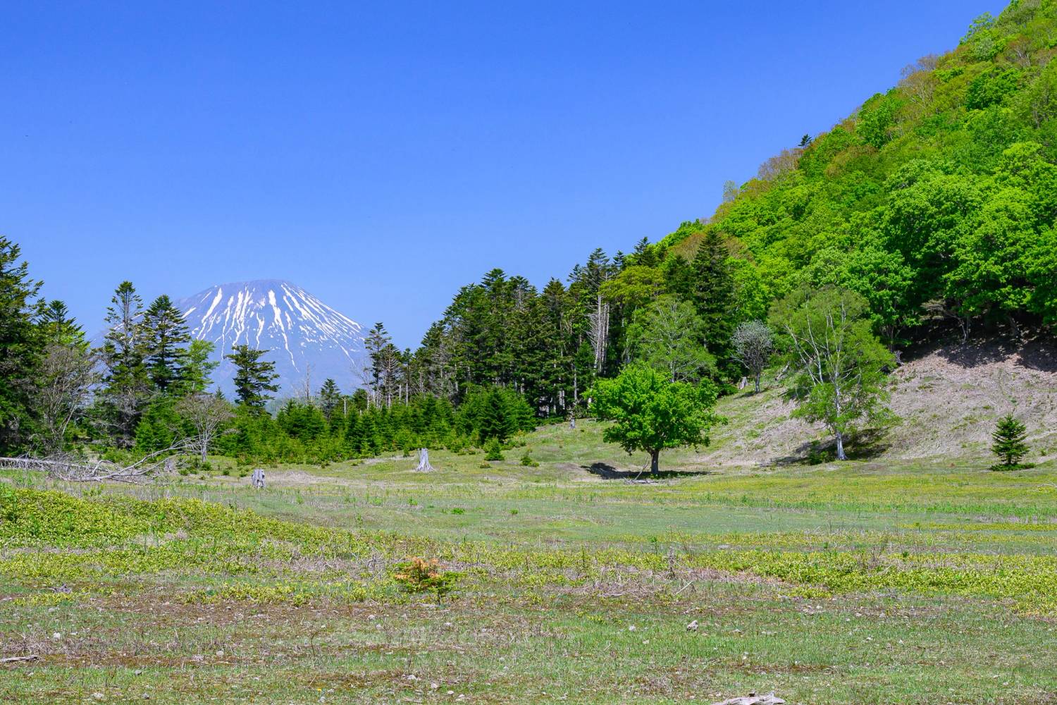 Shikotsu-Toya National Park - Adventure Awaits on Sapporo's Doorstep ...