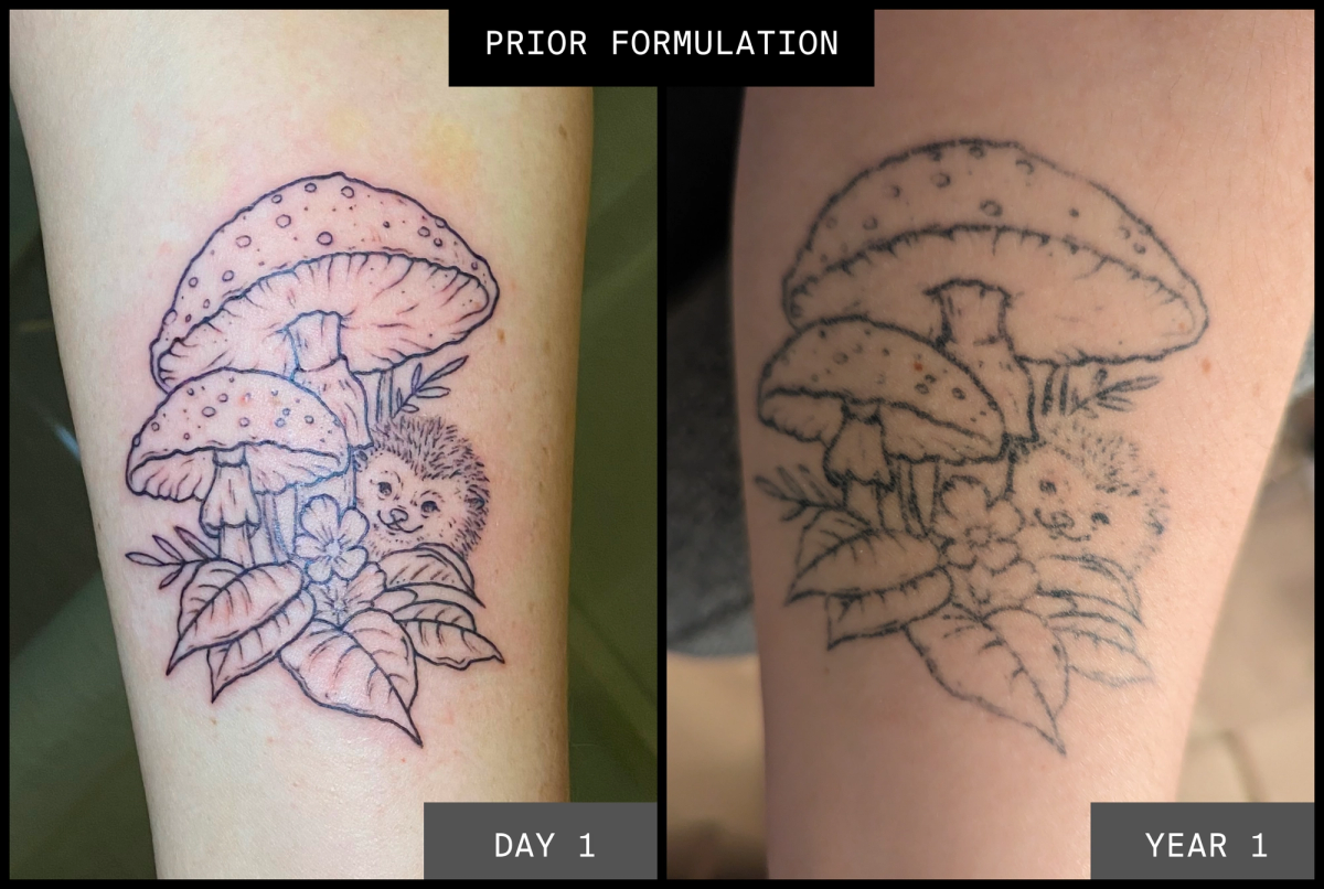 See the Latest Improvements to Ephemeral Ink in 2024 - Ephemeral Tattoo
