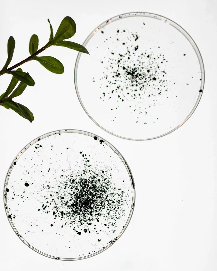 How Ephemeral Ink Works - Ephemeral Tattoo