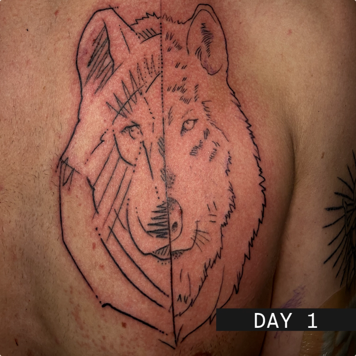 How Ephemeral Ink Works - Ephemeral Tattoo