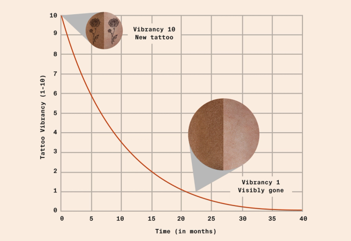 Our Ink - Ephemeral Tattoo