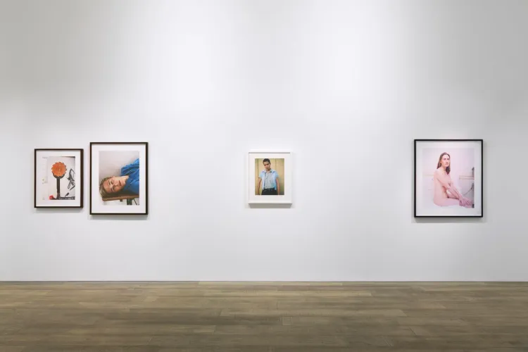 Collier Schorr - Modern Art