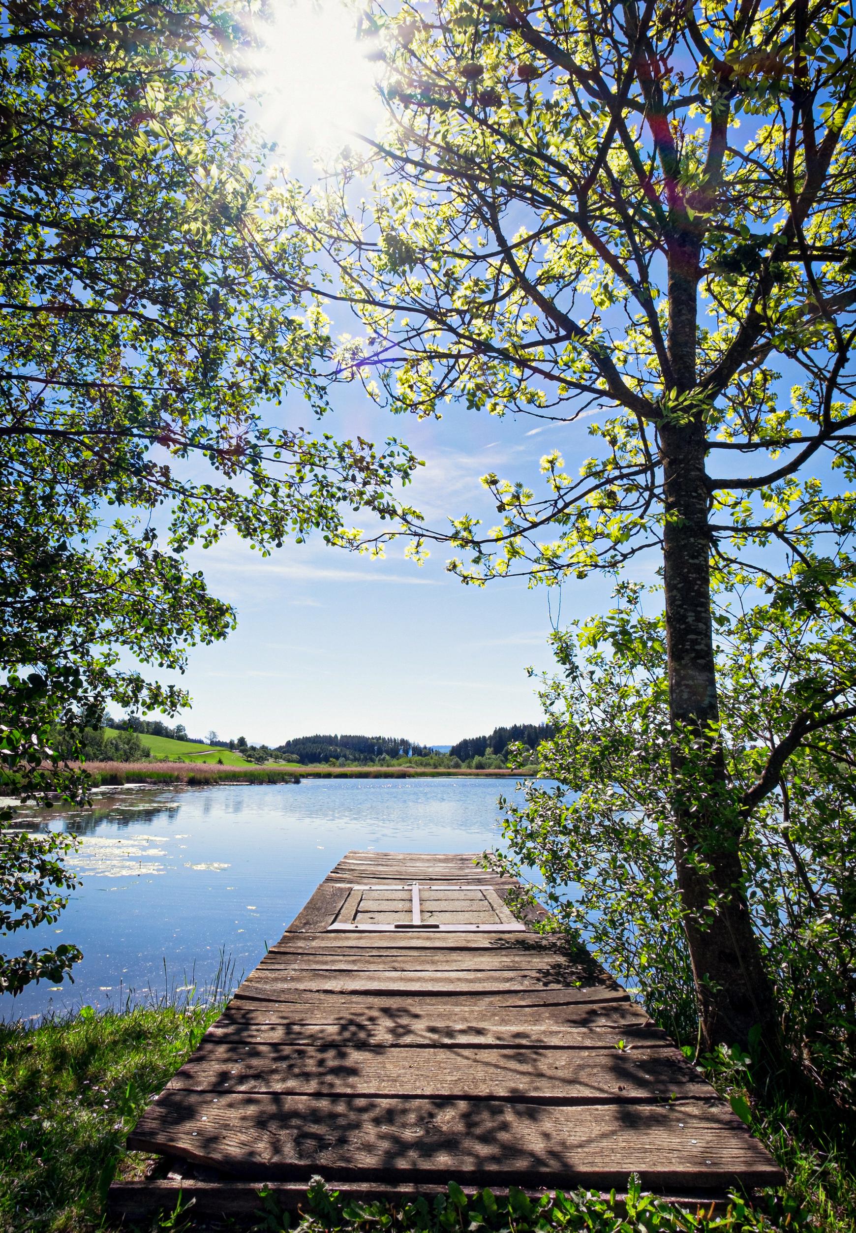 Sola Kitchens | Learn More About Us