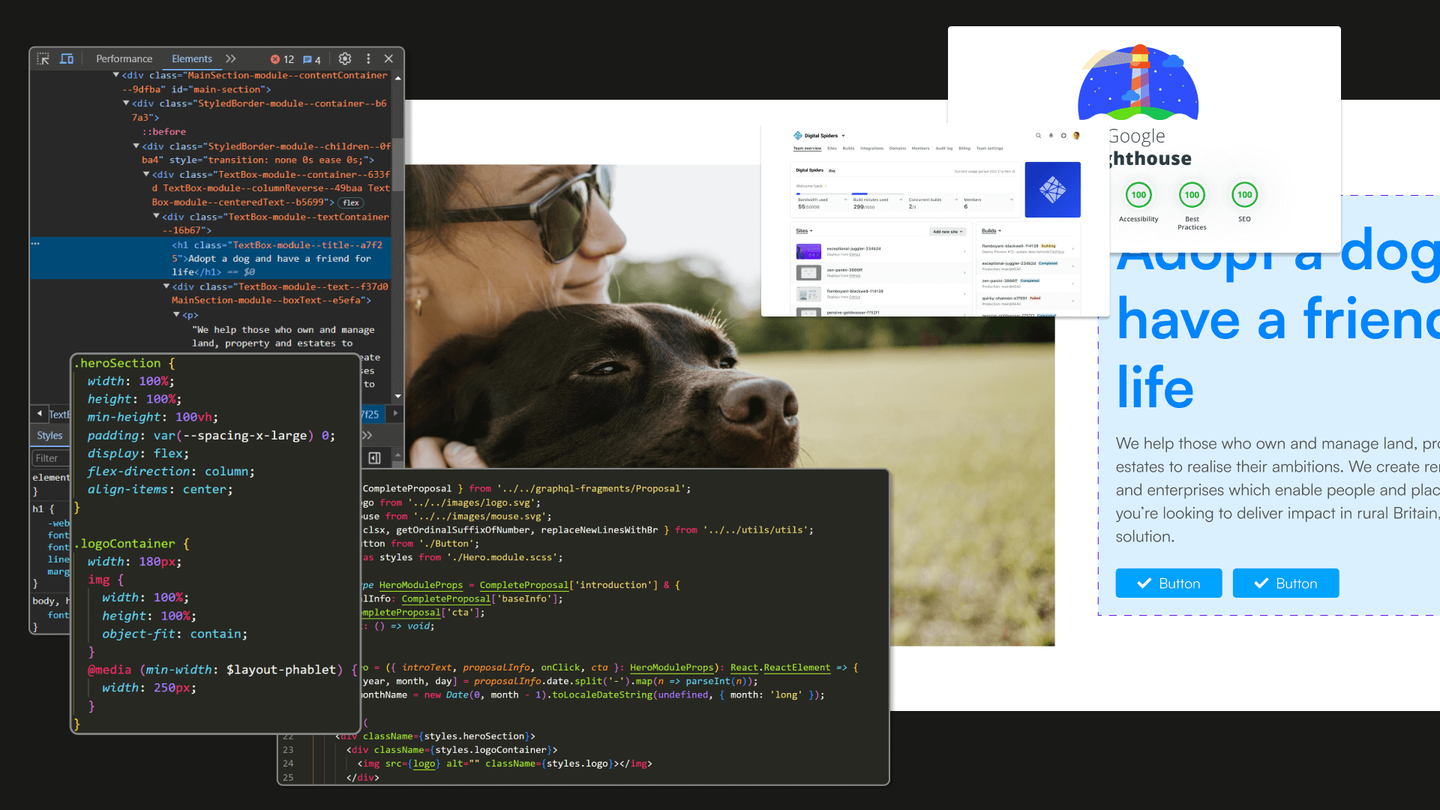 Digital Spiders - Web design to catch the eye 🕸️👀