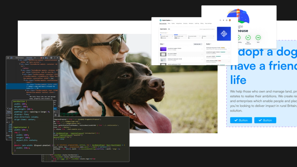 Digital Spiders - Websites that catch the eye 🕸️👀