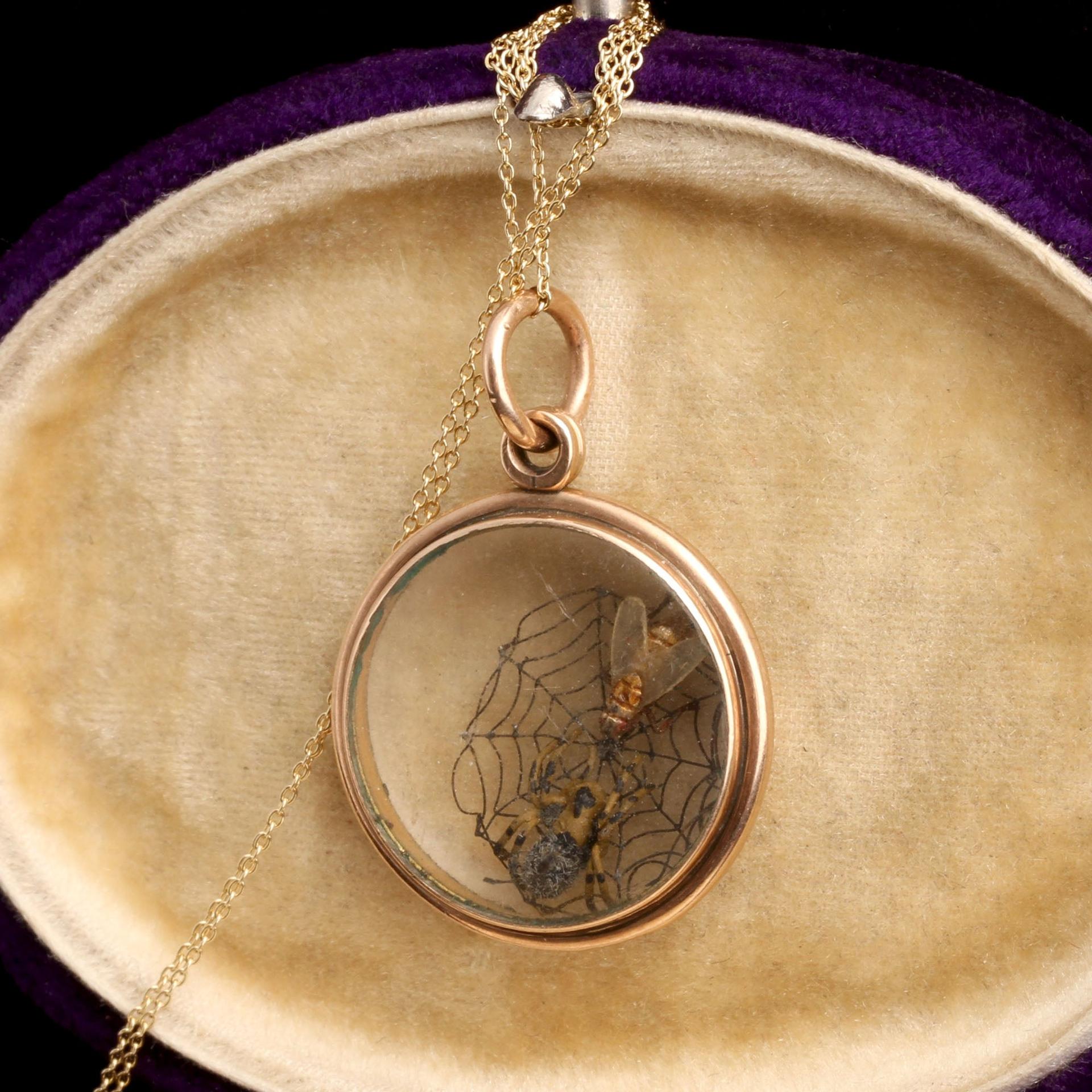 Victorian Spider & Fly Locket — Erica Weiner