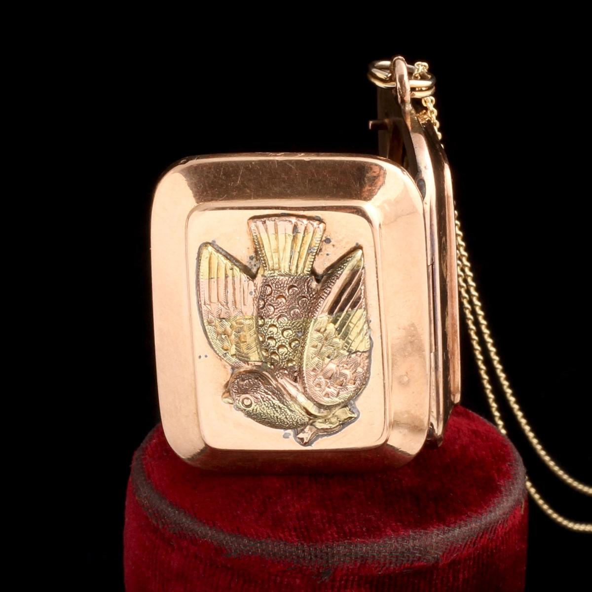 Victorian Dead Bird Locket — Erica Weiner