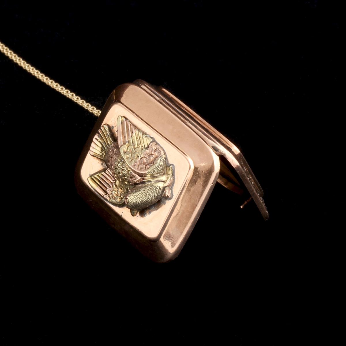 Victorian Dead Bird Locket — Erica Weiner