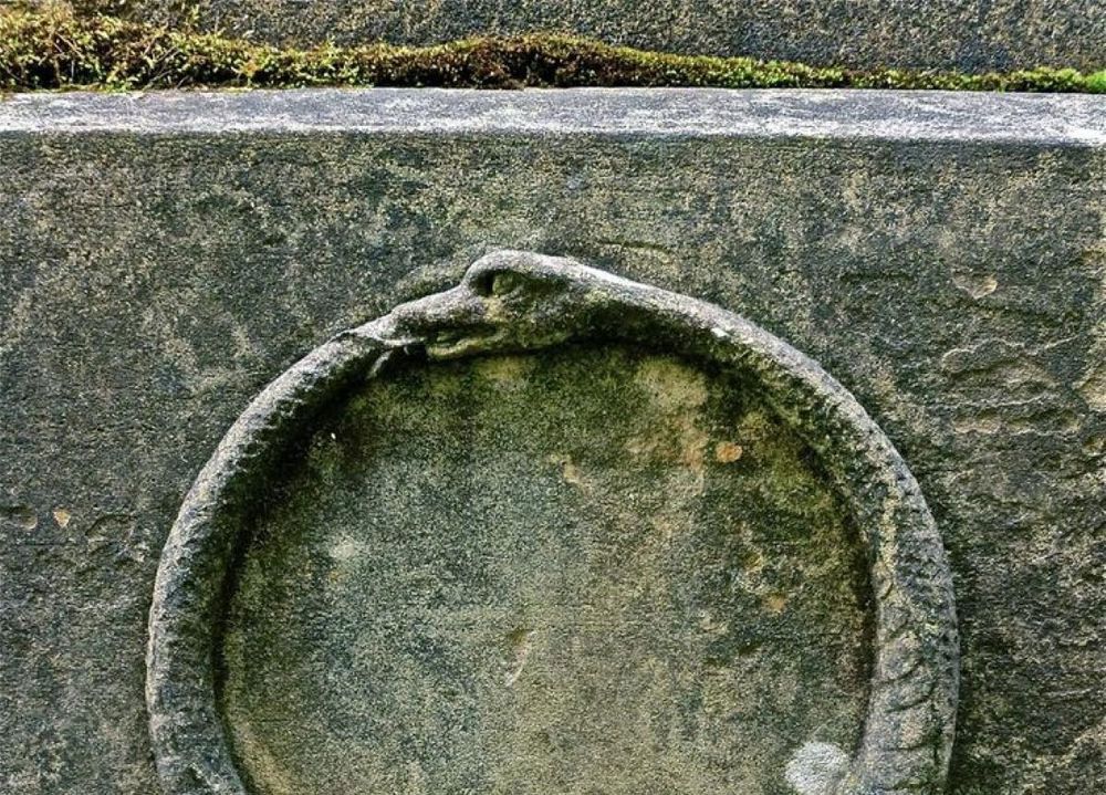 Snakes — Erica Weiner