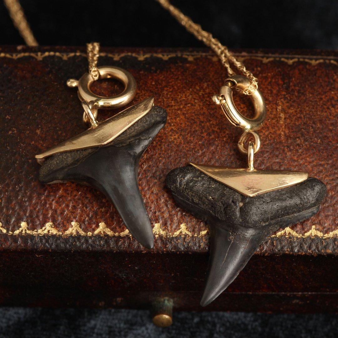 Shark Tooth Necklace — Erica Weiner