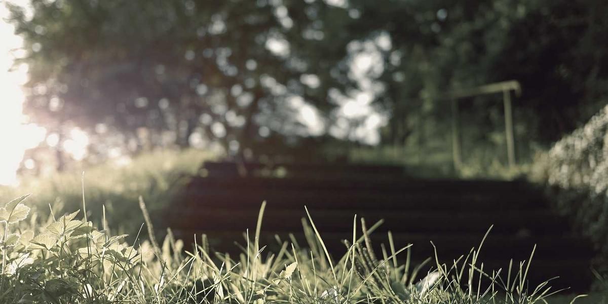 Lipoma Removal: Understanding Benign Fatty Tumors