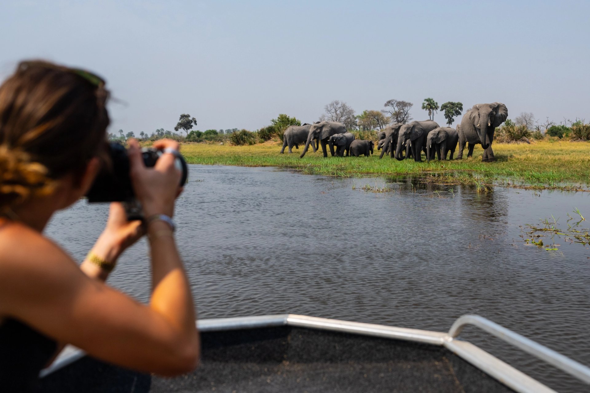 What camera equipment should I take on safari? | ROAR AFRICA