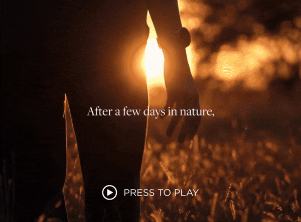Rewilding - Remember we are wild… | ROAR AFRICA
