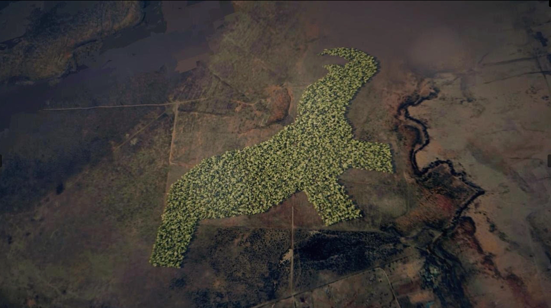 Rewilding definition and importance | ROAR AFRICA
