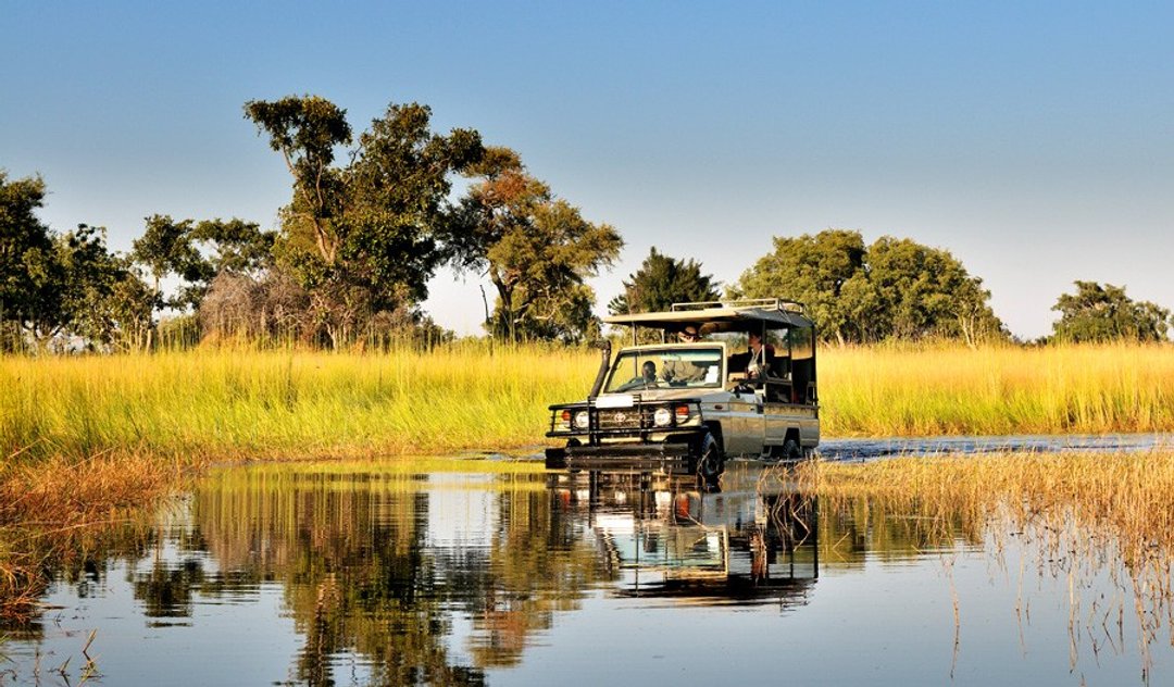 Introducing: Xigera Safari Lodge | ROAR AFRICA