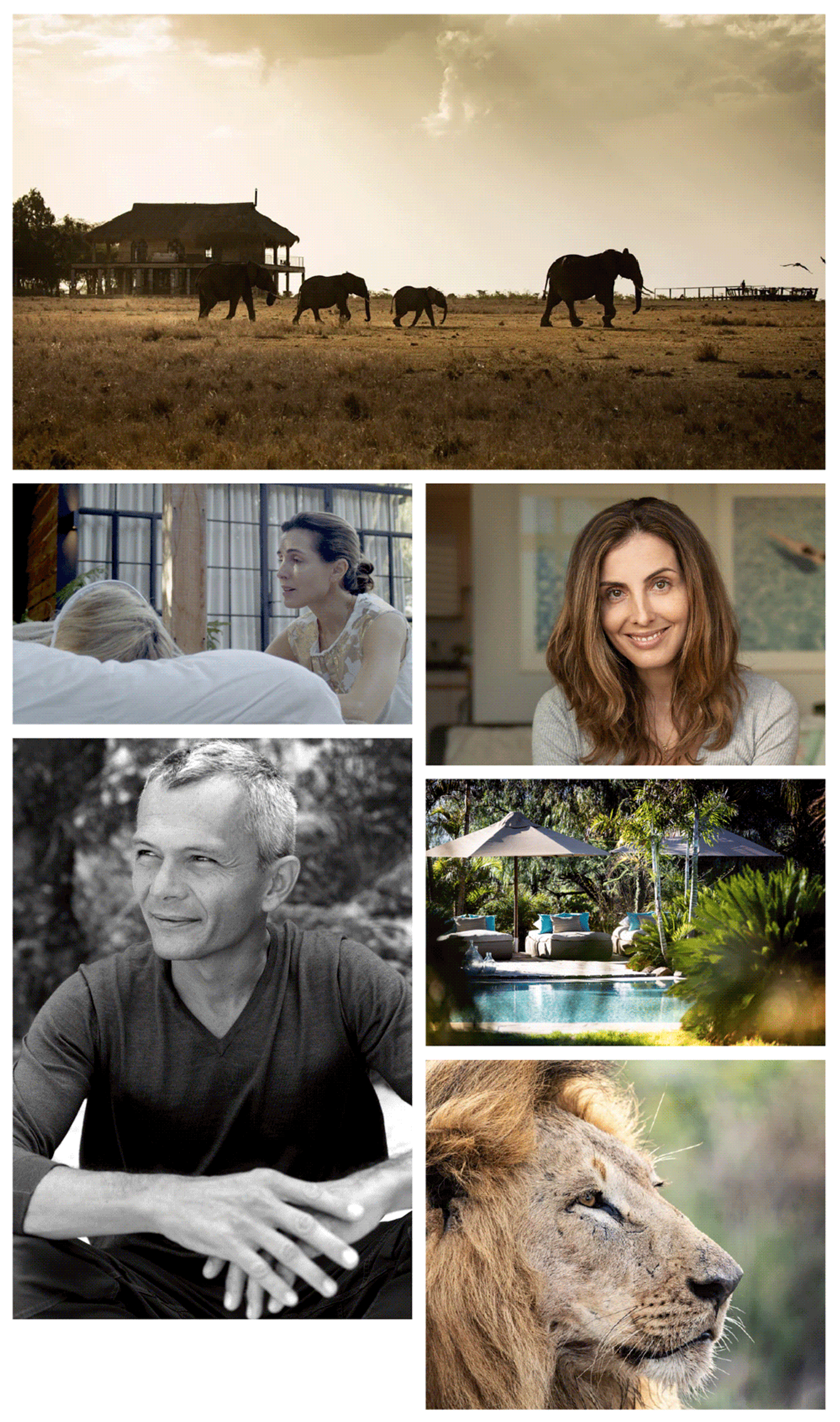 Return to the Wild with David Whyte | ROAR AFRICA