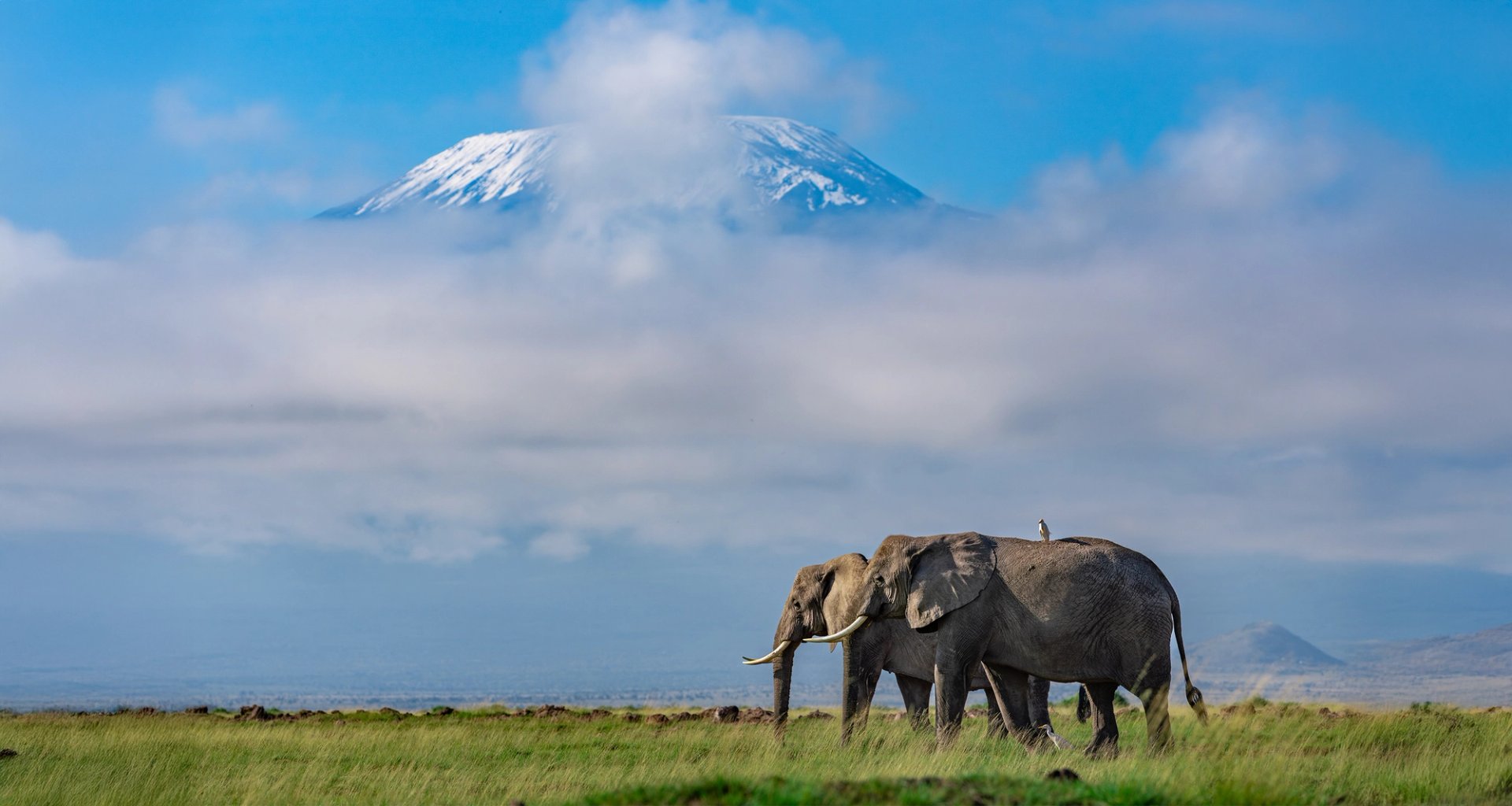 Luxury Kenya Safari Tours, Packages & Vacations | ROAR AFRICA