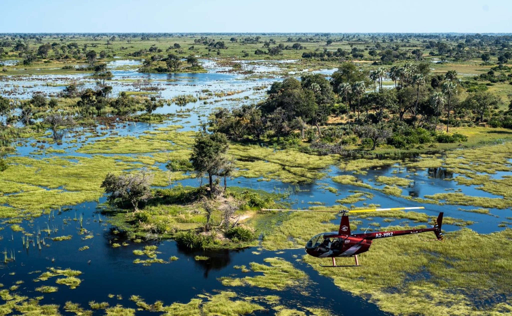 Ultimate Guide to Luxury African Safaris | ROAR AFRICA