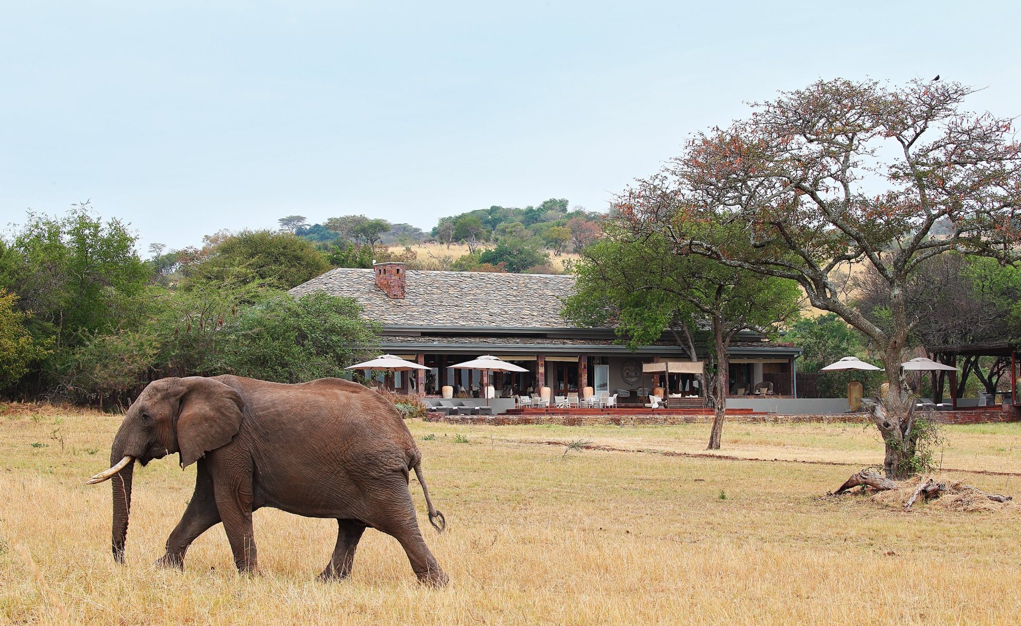 Luxury African Villas & Accommodation | ROAR AFRICA