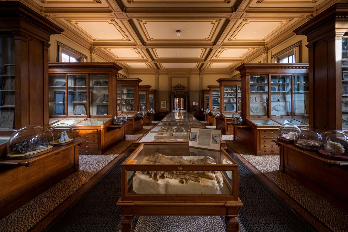 The oldest museum in the Netherlands