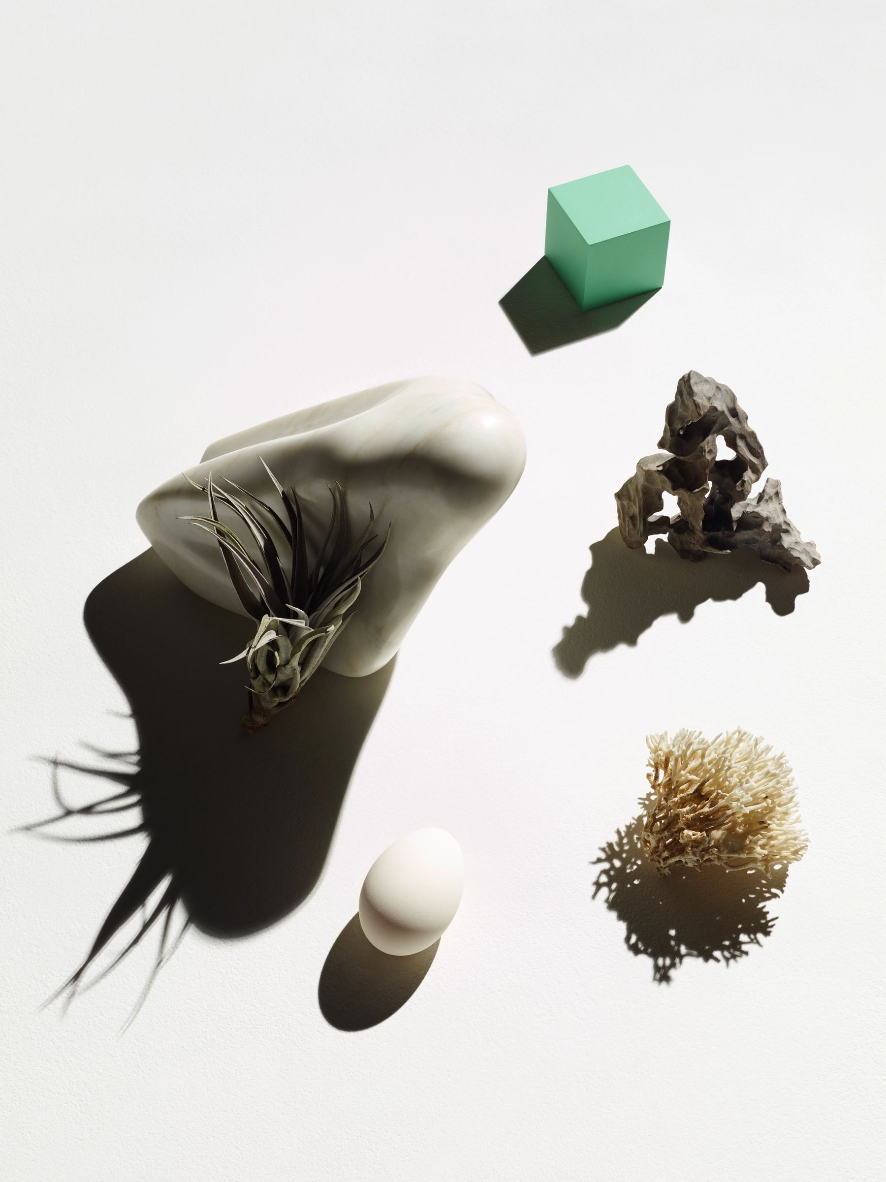 Michael Bodiam | Still Life