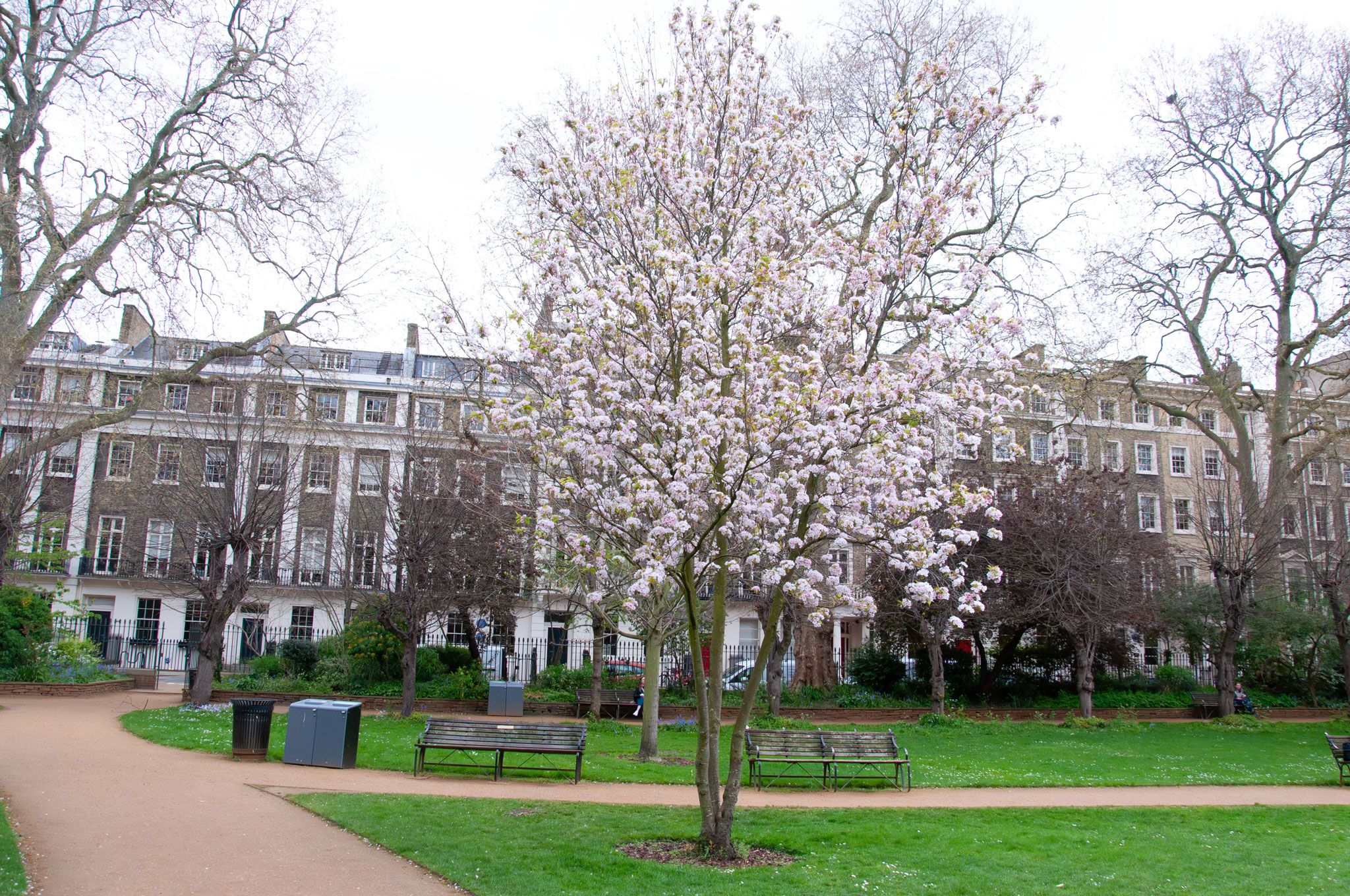 Gordon Square Gardens | Bloomsbury - London