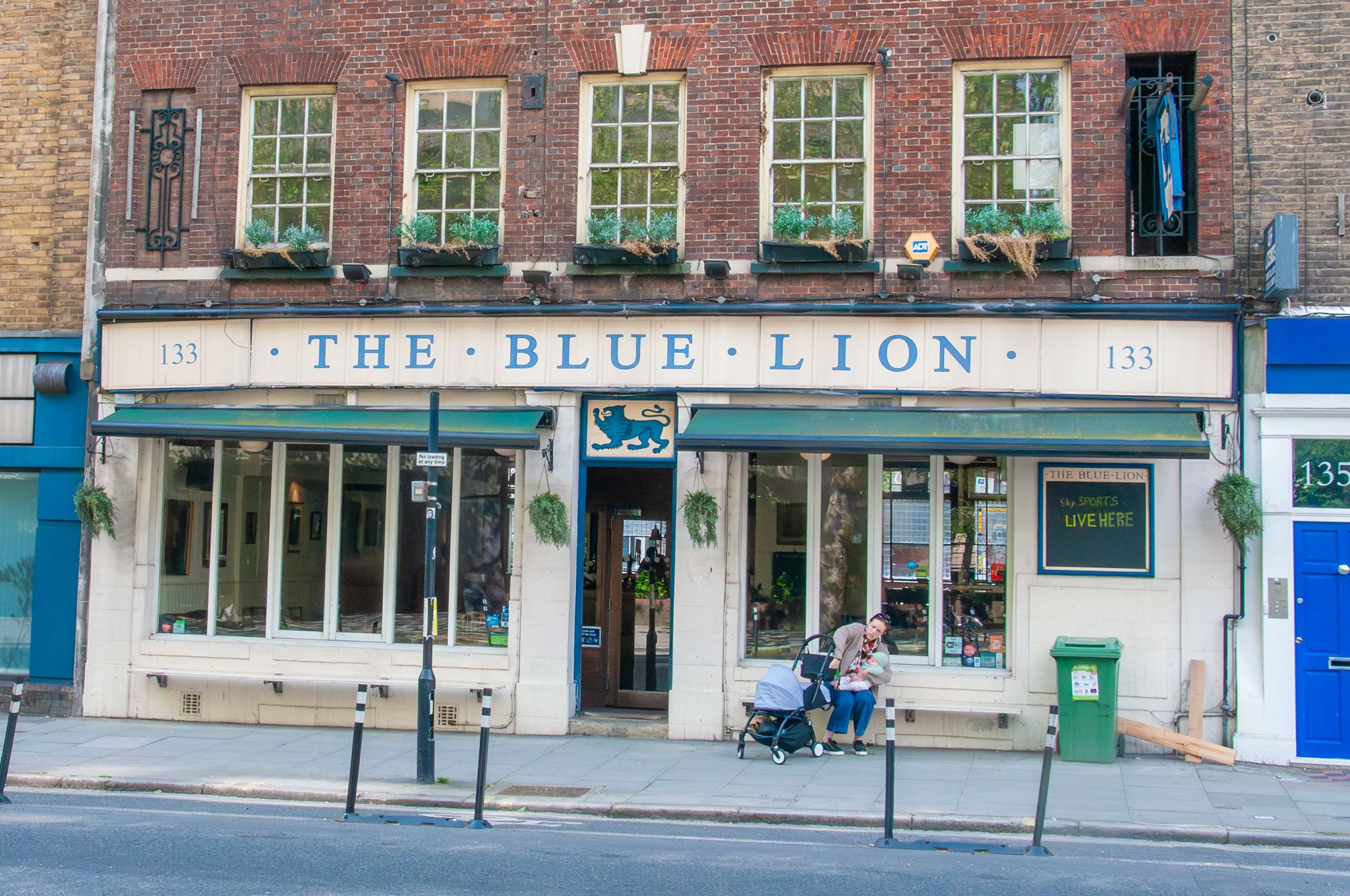 The Blue Lion | Bloomsbury - London