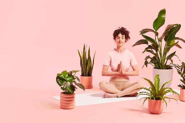 Plant Care Is Self Care | The Sill