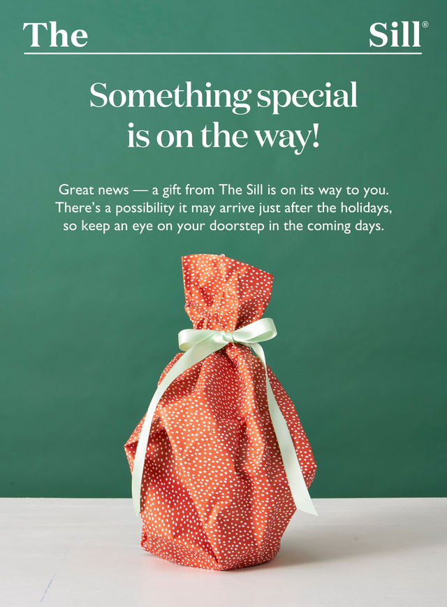 Send a Gift Notification | The Sill