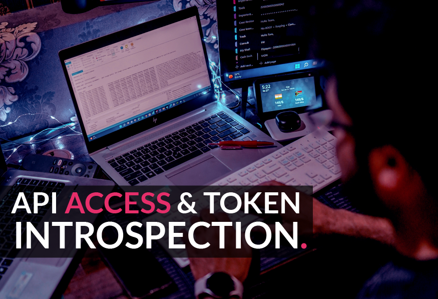 API Access and Token Introspection with OpenId Connect in ZITADEL