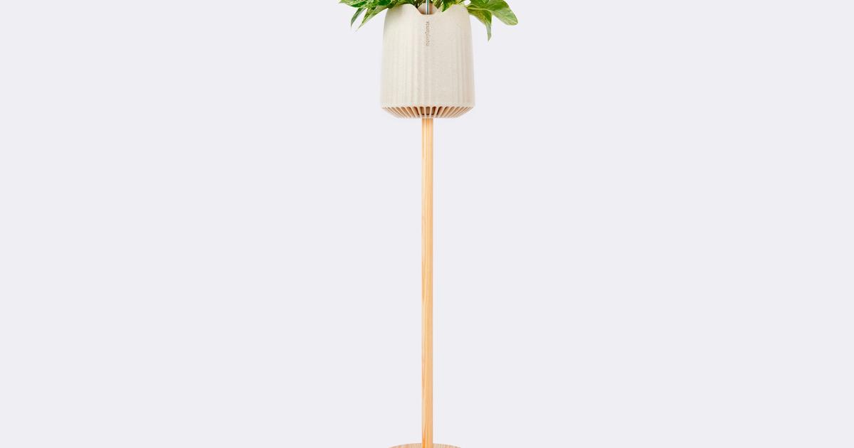 The Stand - Minimalist Plant Display Stand for Air-Purifying Plants ...