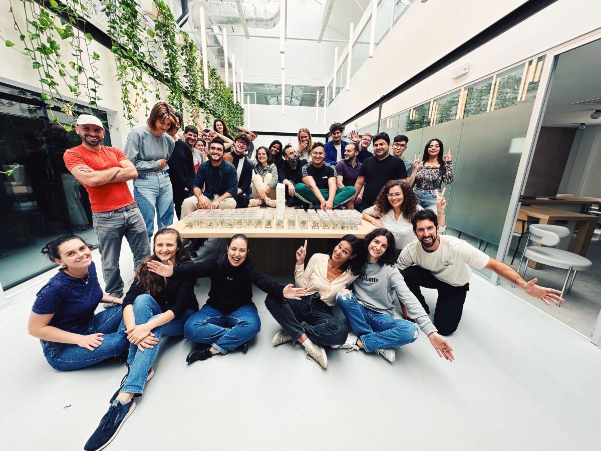 Neoplants - Neo PX - Complete Plant Air Purifying Kit | Neoplants