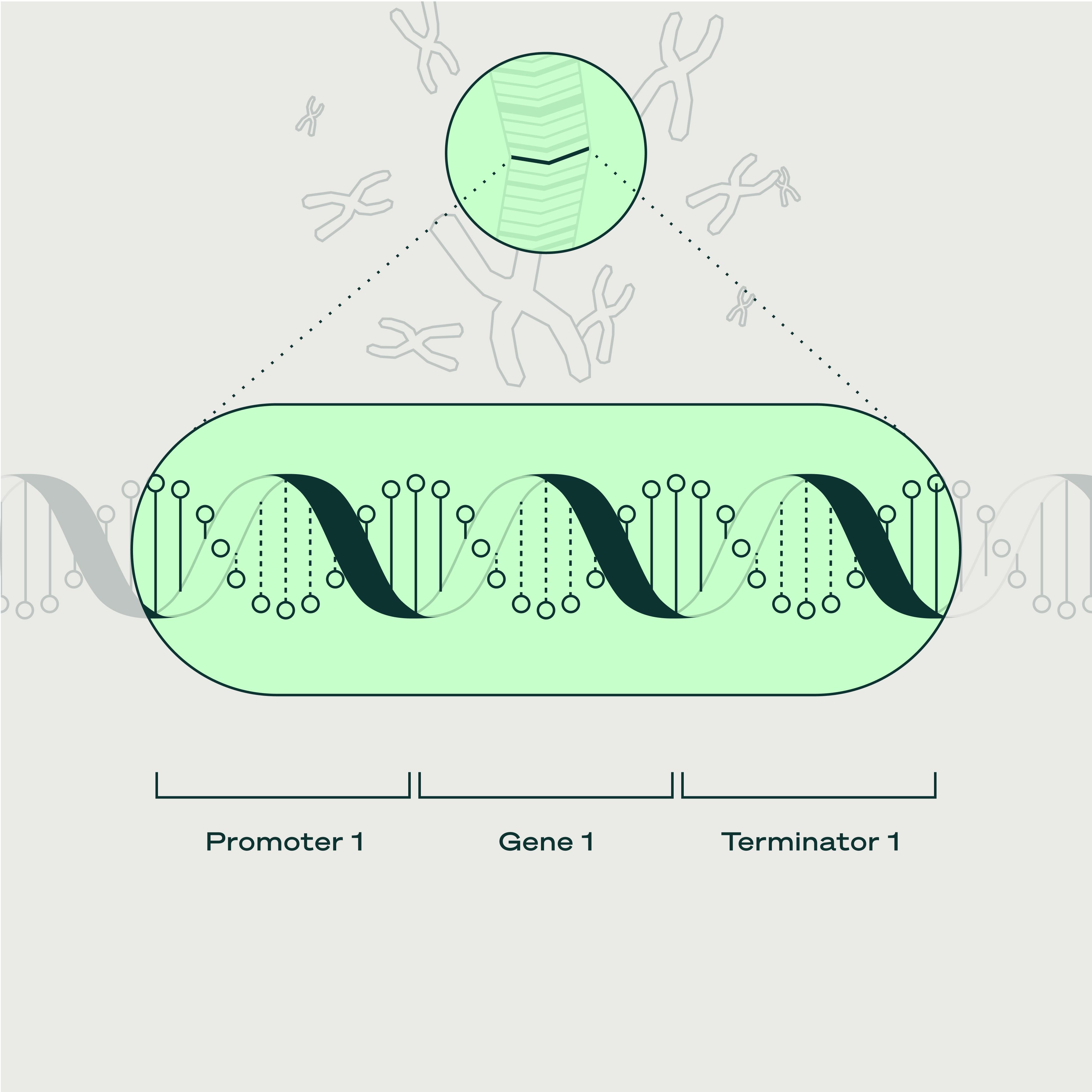 Science | Neoplants