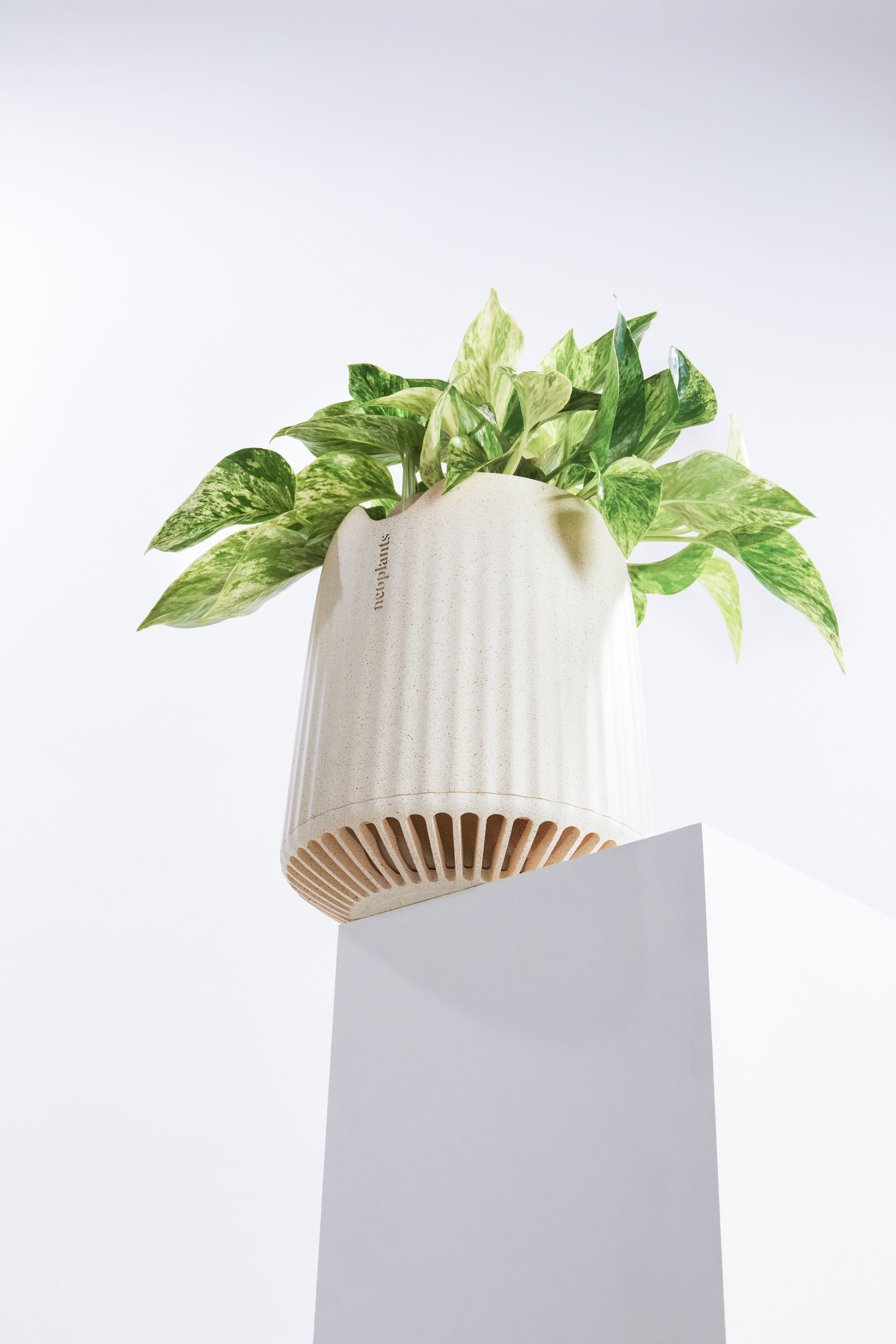 Neoplants - Neo Px - The First Bioengineered Air Purifier.