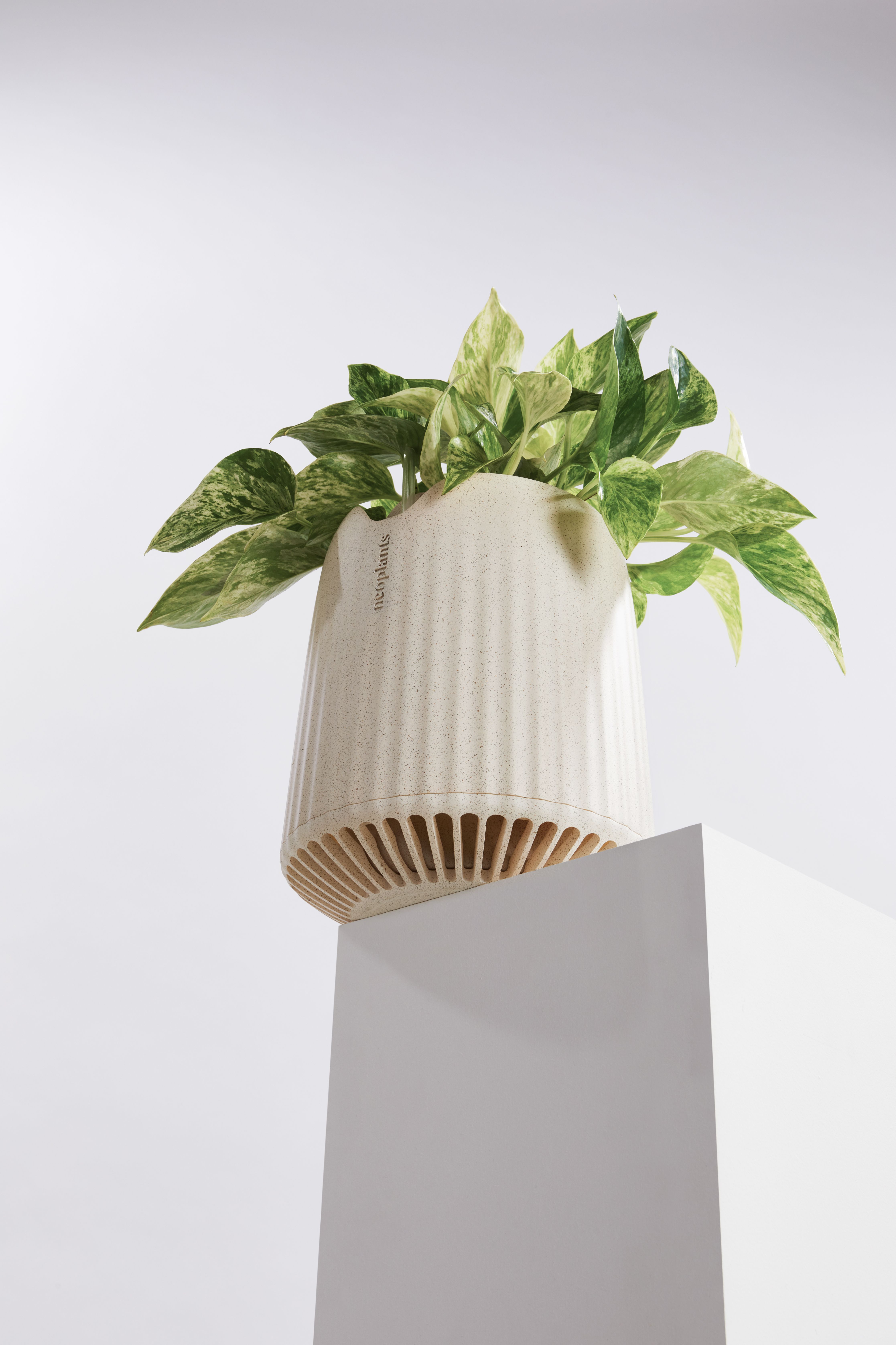 Neoplants - Neoplants Unveils New Lab for Unparalleled Plant Synthetic ...