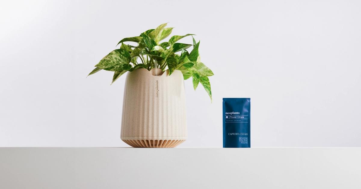 Neo P1 - The First Bioengineered Air-Purifying Plant Kit | Neoplants ...