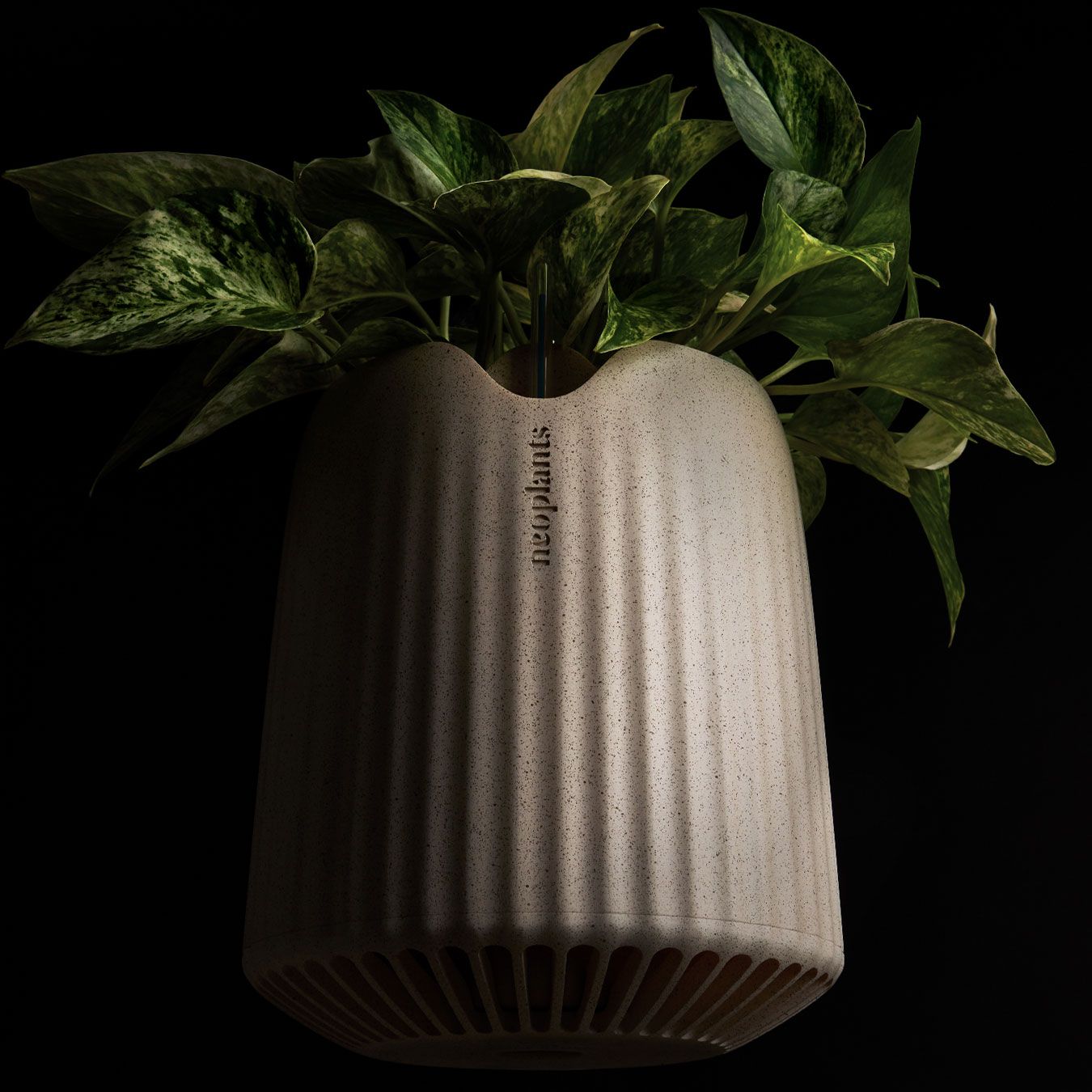 Neoplants - The Future of Plants