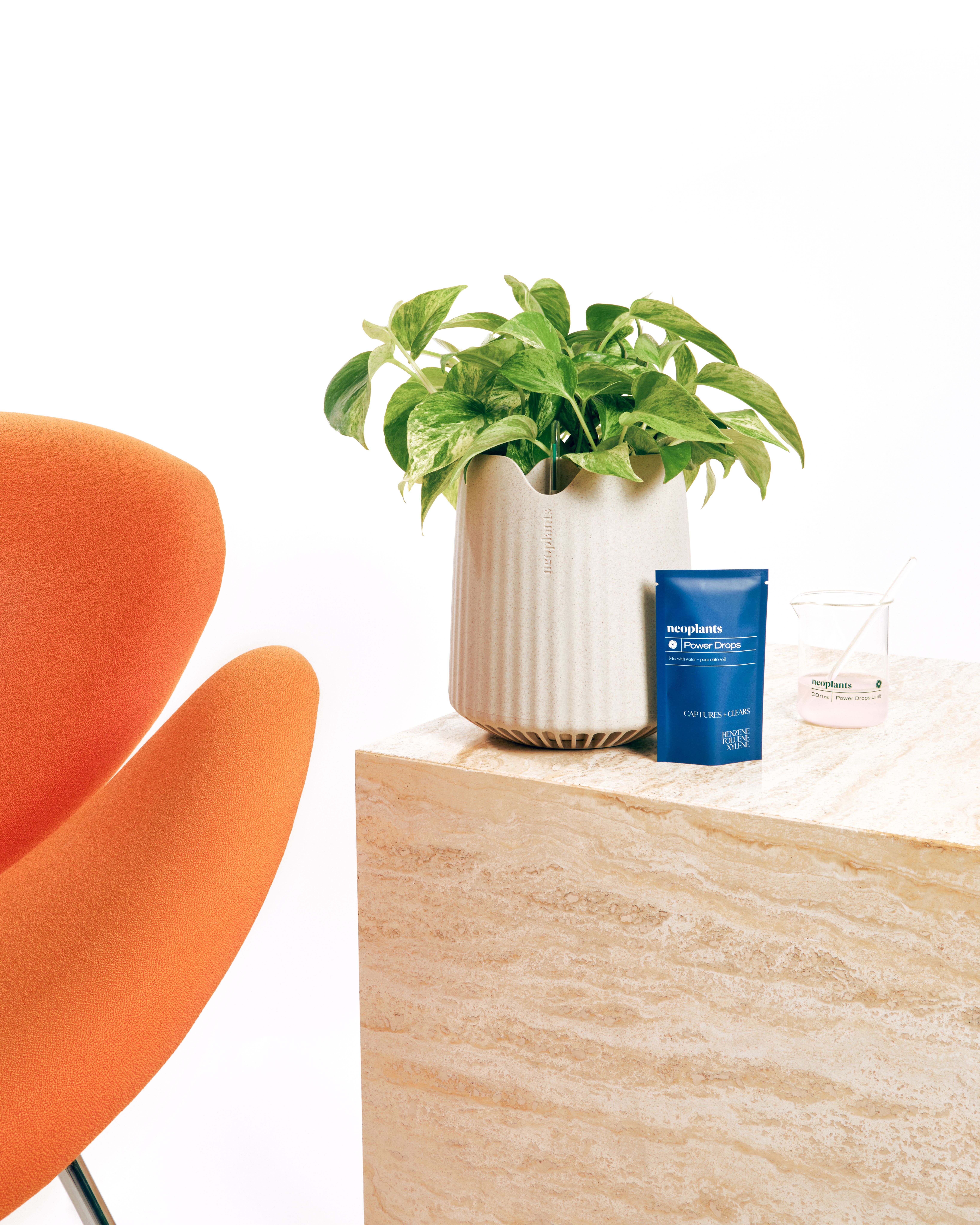 Neoplants - Neo Px - The First Bioengineered Air Purifier.