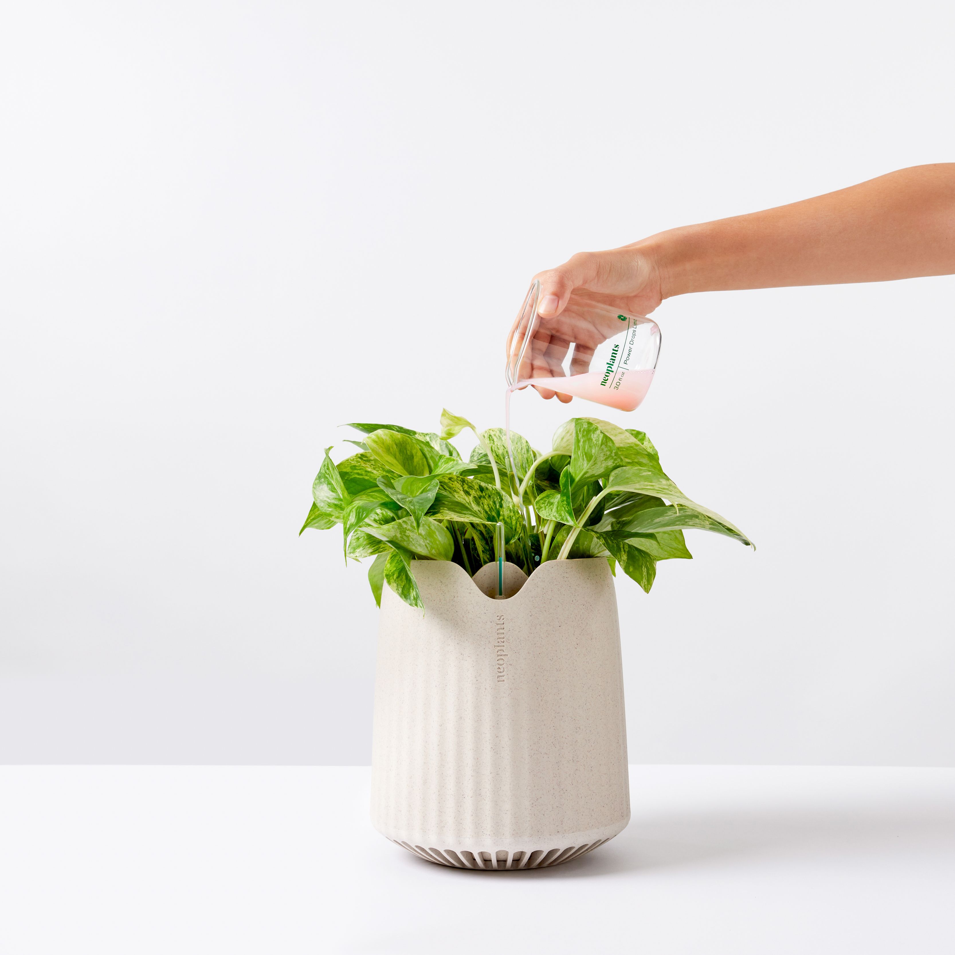 Neo P1 - The First Bioengineered Air-Purifying Plant Kit | Neoplants ...