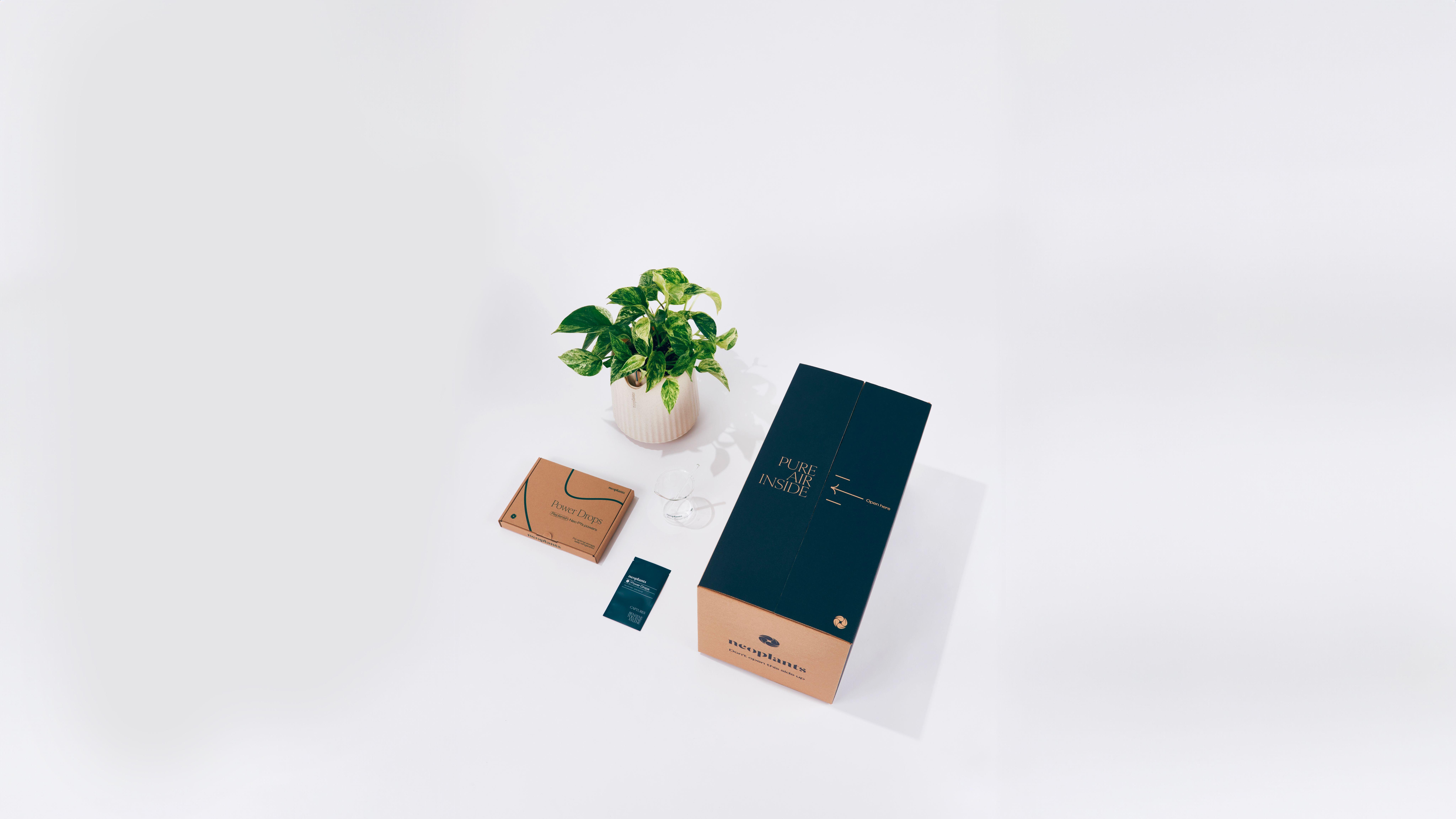 Neoplants - Neo Px - The First Bioengineered Air Purifier.