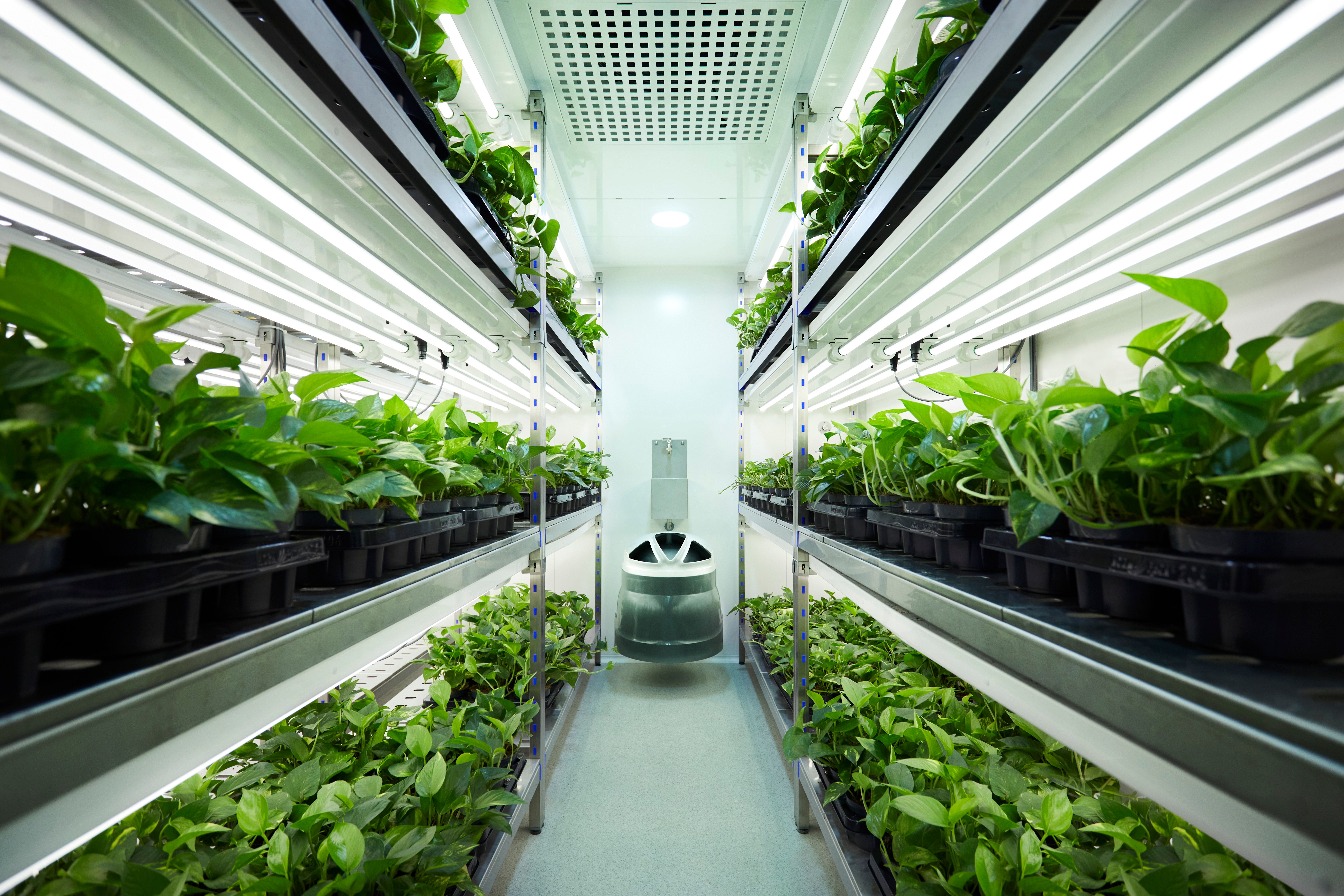 Neoplants - Neoplants Opens The Seed: A Cutting-Edge Synthetic Biology Lab