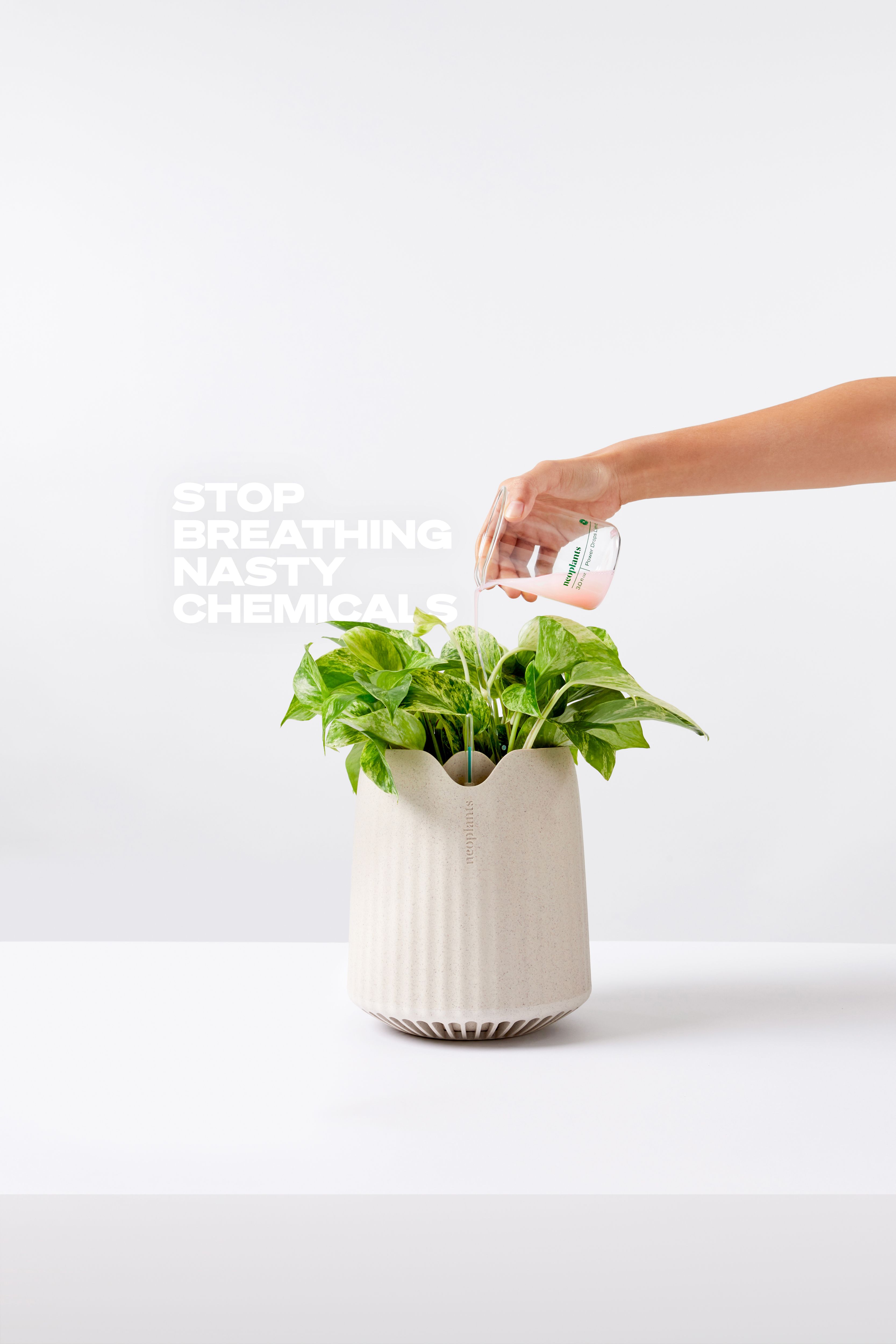 Neoplants - Neo PX - Complete Plant Air Purifying Kit | Neoplants