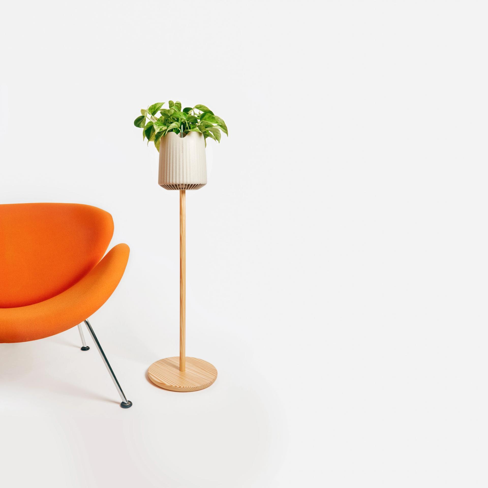 The Stand - Minimalist Plant Display Stand for Air-Purifying Plants | Neoplants | Neoplants