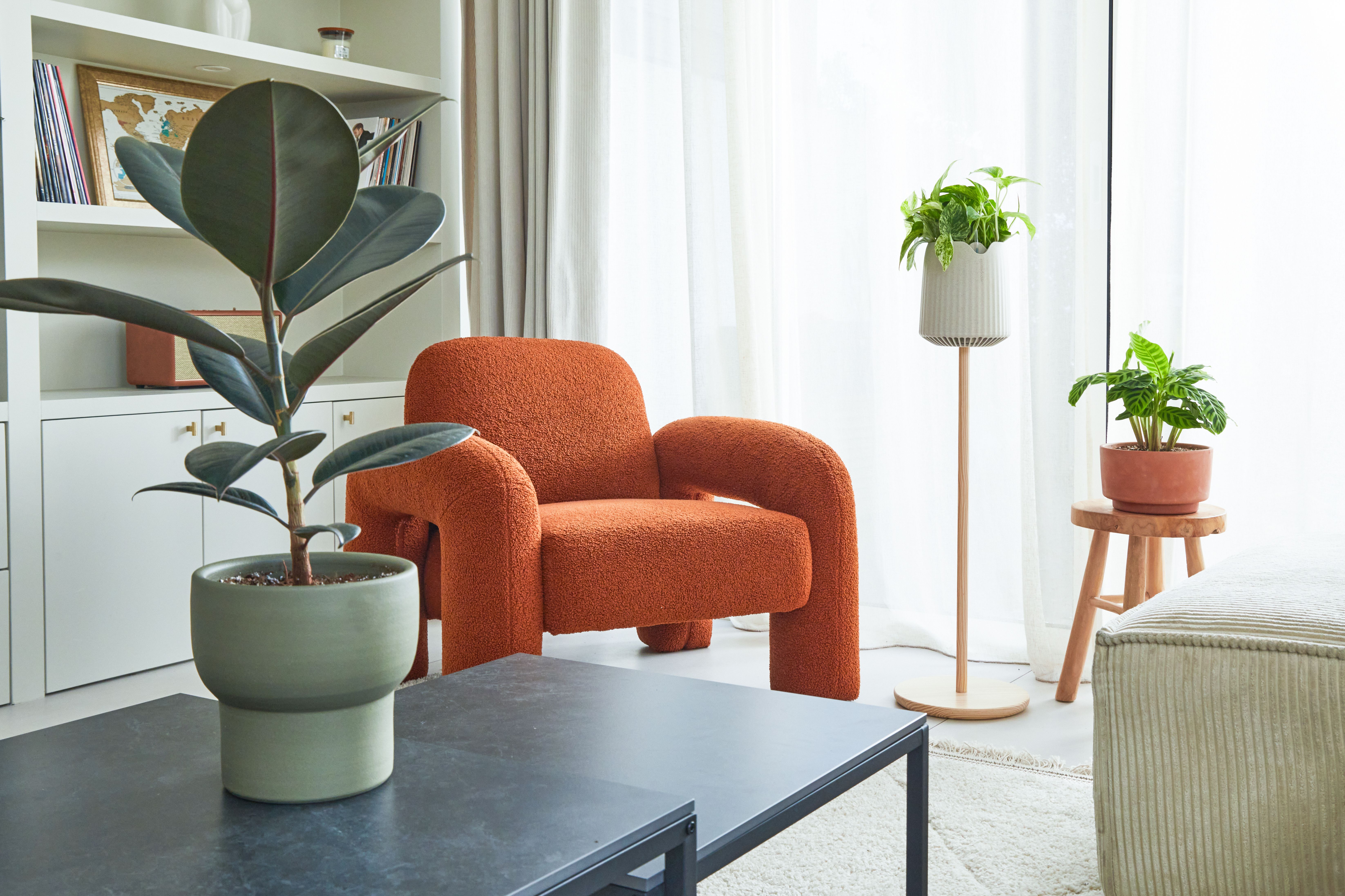 Advanced Natural Air-Purification for a Cleaner Home | Neoplants